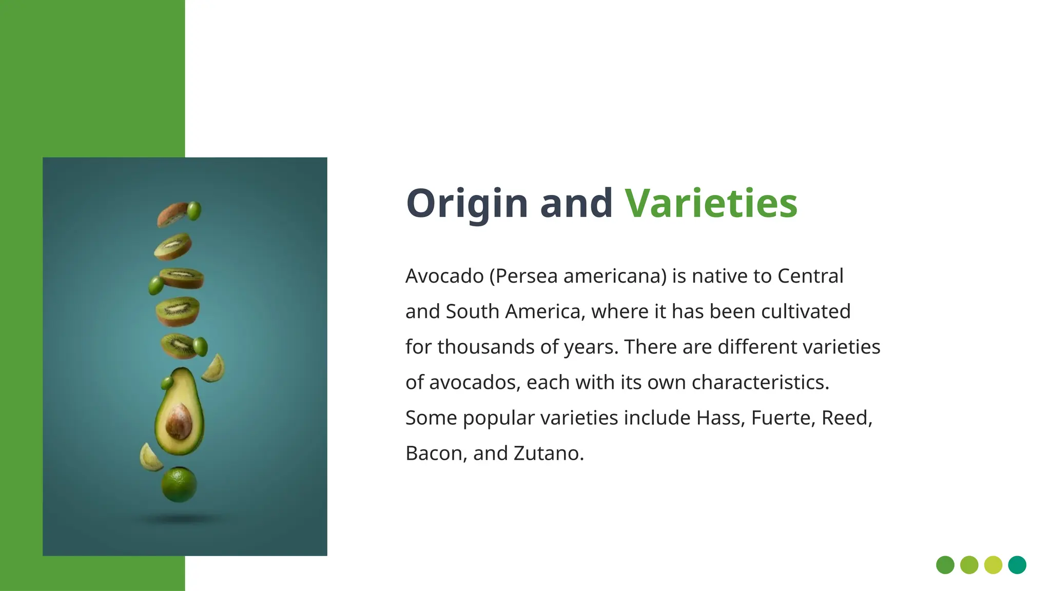 SlideEgg-704641-Avocado PowerPoint Template Free.pptx