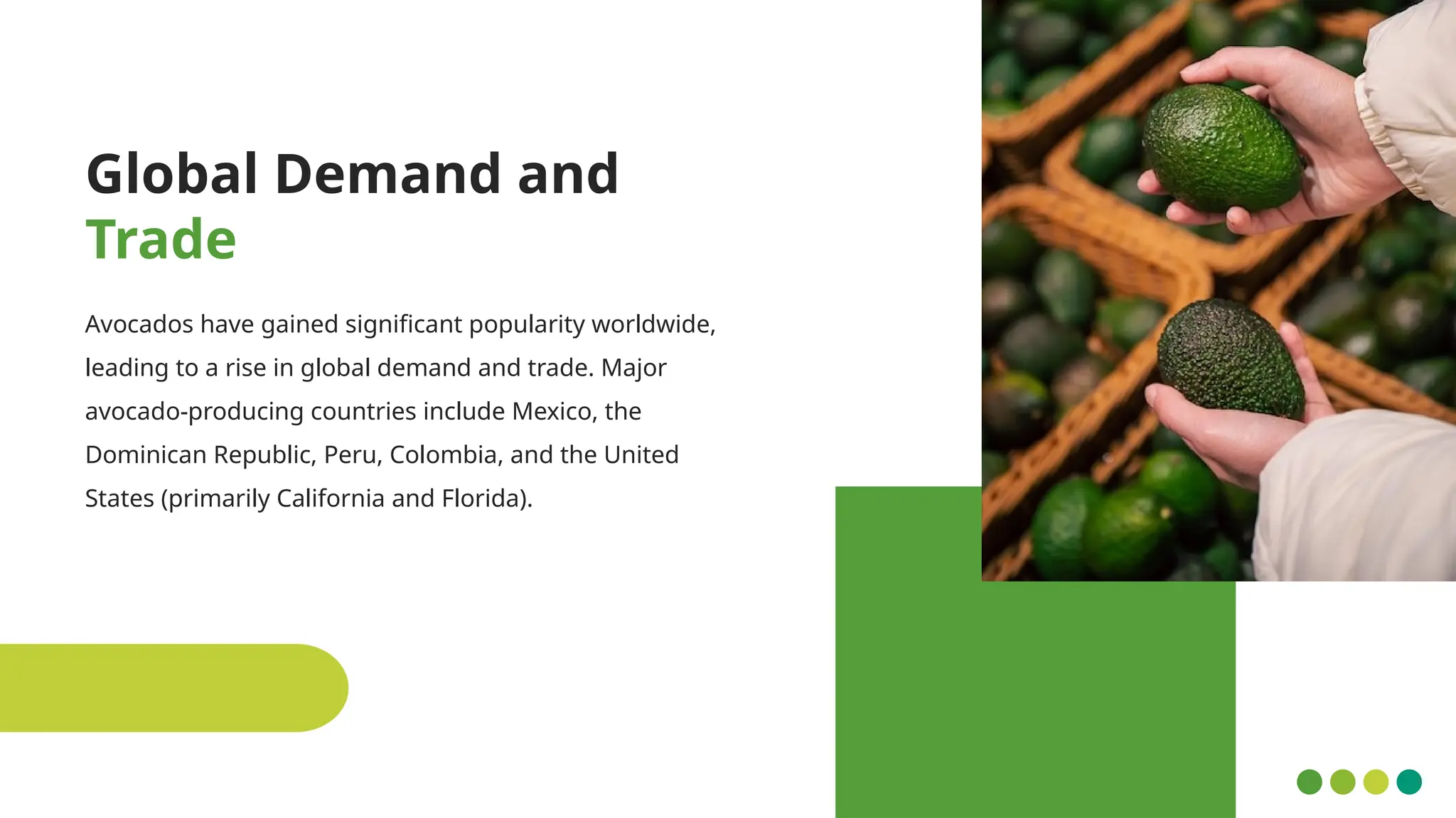 SlideEgg-704641-Avocado PowerPoint Template Free.pptx