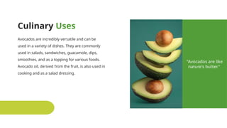 SlideEgg-704641-Avocado PowerPoint Template Free.pptx