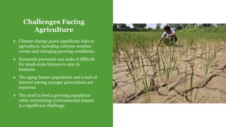 Slide_Egg-82132-Agriculture Presentation Template.pptx | Agriculture ...