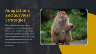 Slide_Egg-87851-Monkey PPT.pptx...............................k | PPTX