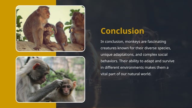 Slide_Egg-87851-Monkey PPT.pptx...............................k | PPT