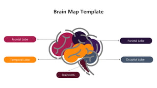 Slides_Egg-89172-Brain Map Template.pptx