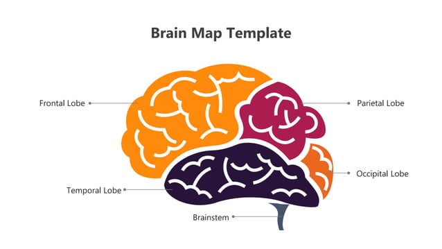 Slides_Egg-89172-Brain Map Template.pptx