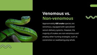 SlideEgg_79442-Snake PowerPoint Template.pptx