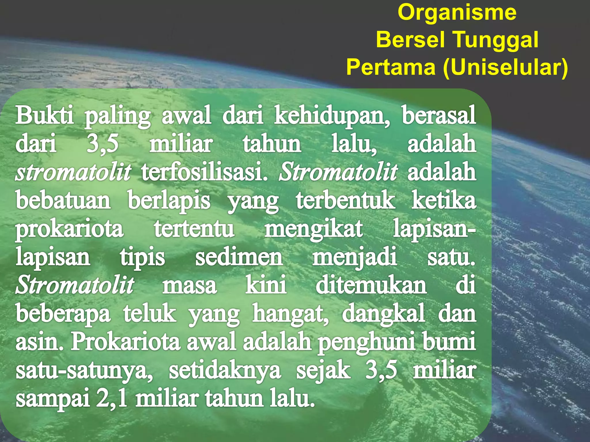 evolusi asal usul kehidupan | PPTX