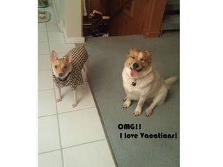 Discussion 5 Example Slides | ODP