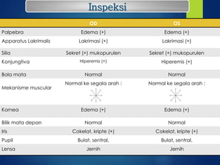 Slide fikar trauma kimia | PPT