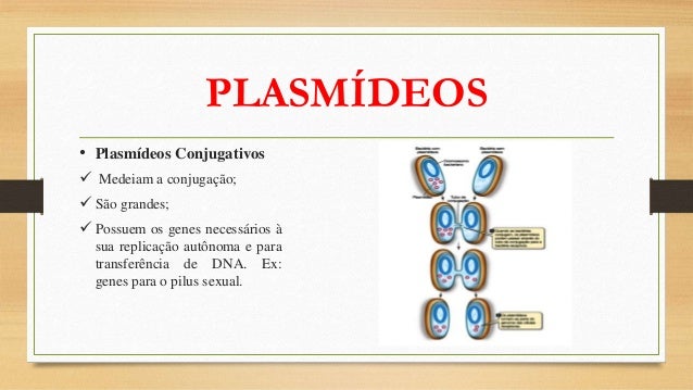 Plasmídeos- Genética Bacteriana