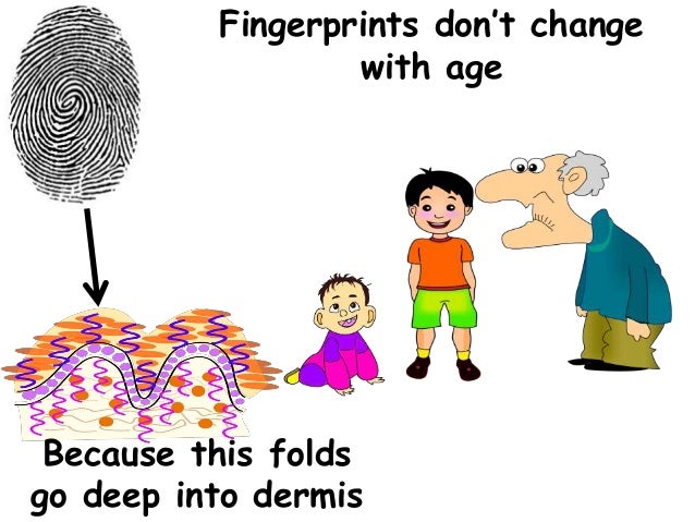 Why do we have fingerprint and why it is unique