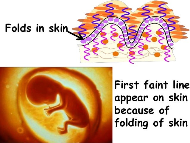 Why do we have fingerprint and why it is unique