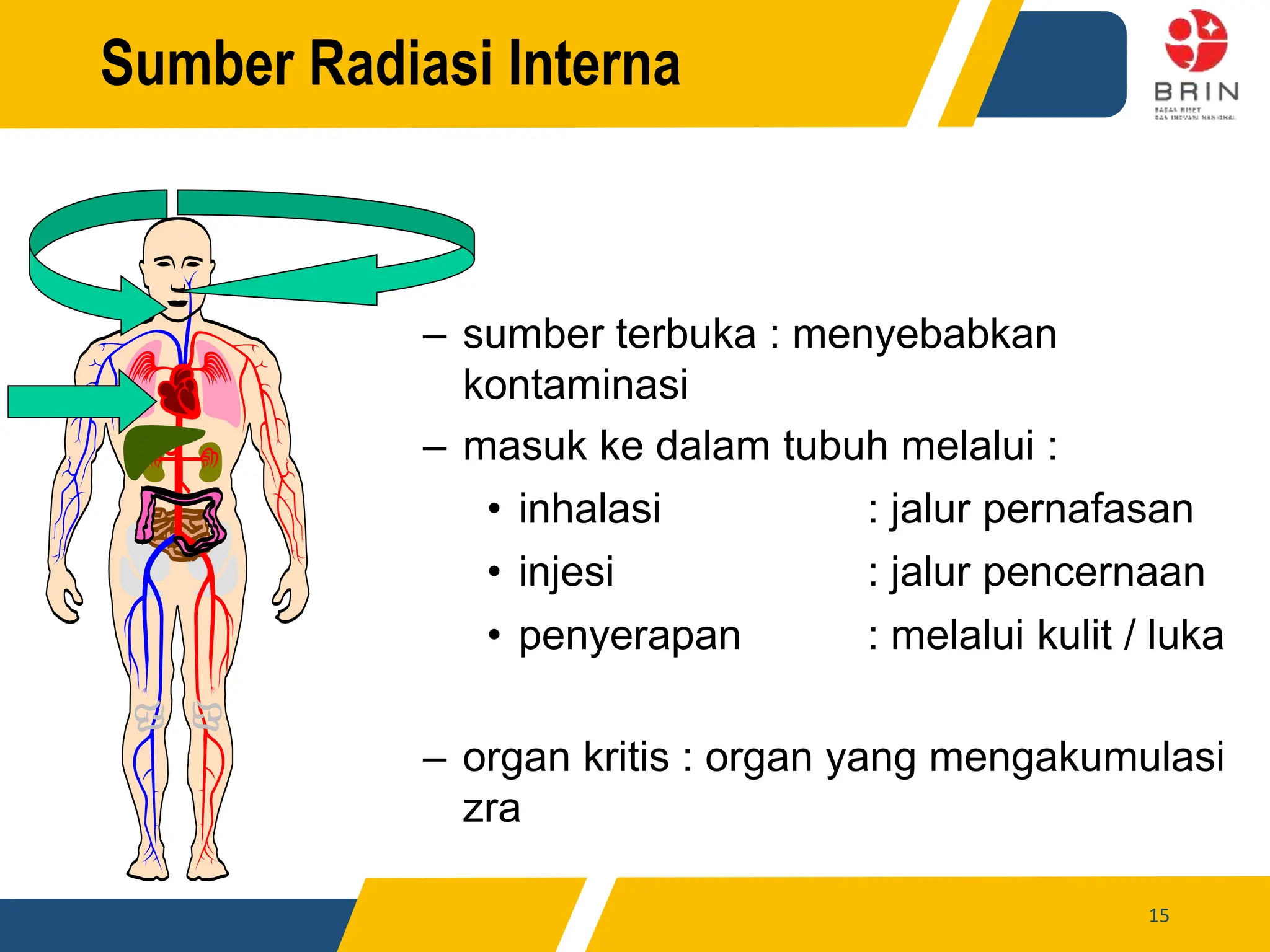 Materi referensi belajar mengenai meids.pptx
