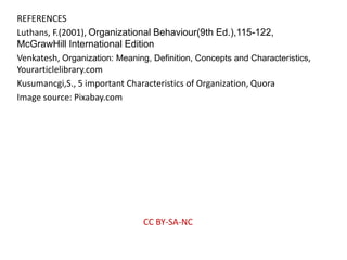 Organizational Characteristics and Design ppt | PPT