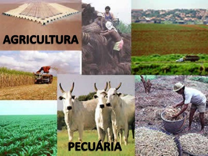 Slide geografia agricultura e pecuária