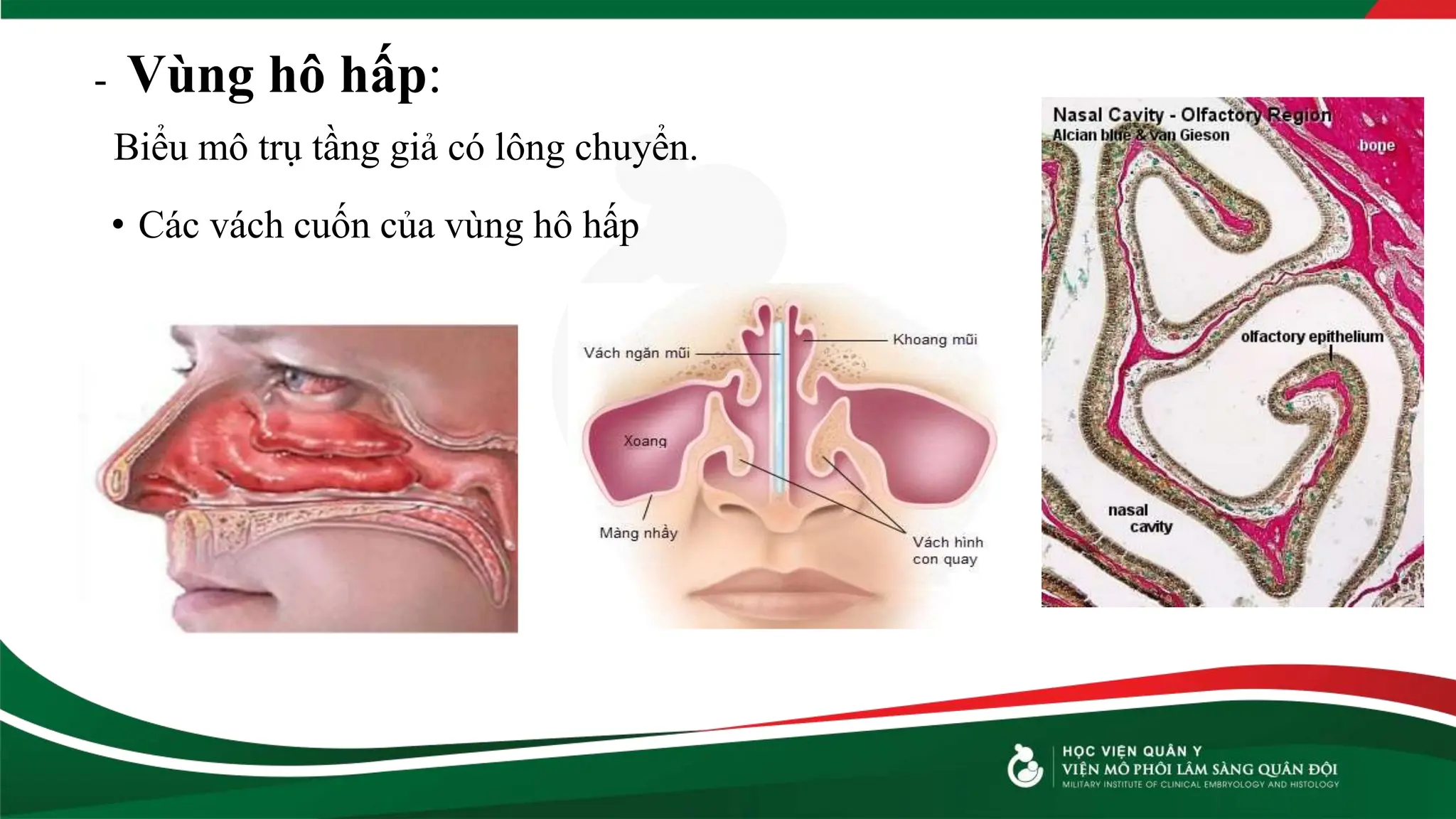 Aaaaaaaaaaaaaaaaaaaaaaaaaaaaaaaaaaaaaaaa | PPT