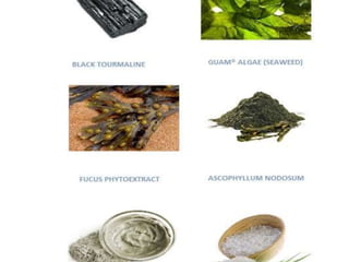 GUAM Products Active Ingredients | PPTX