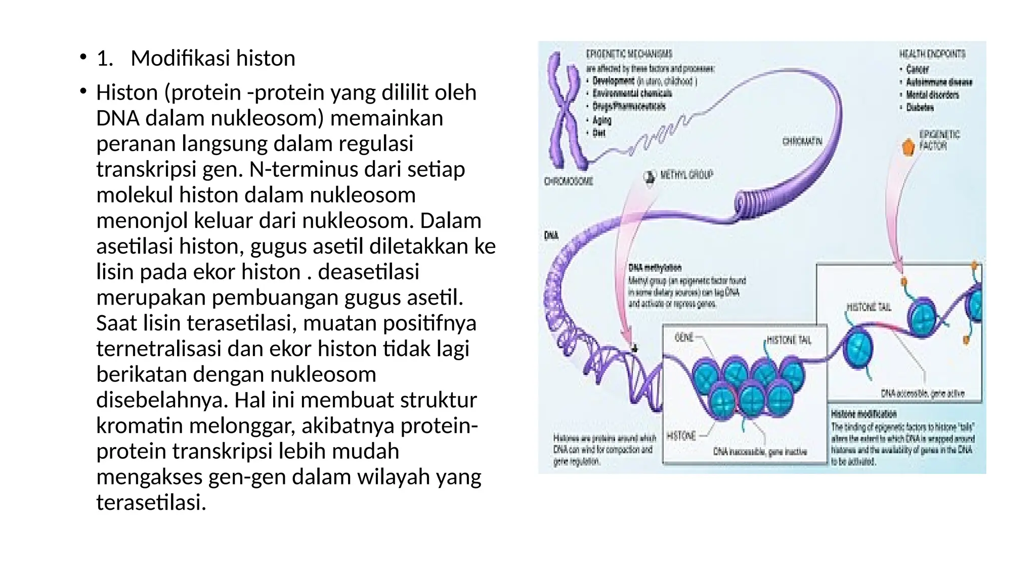 Ekspresi Gen 2 Farmasi Presentasi matakuliah .pptx