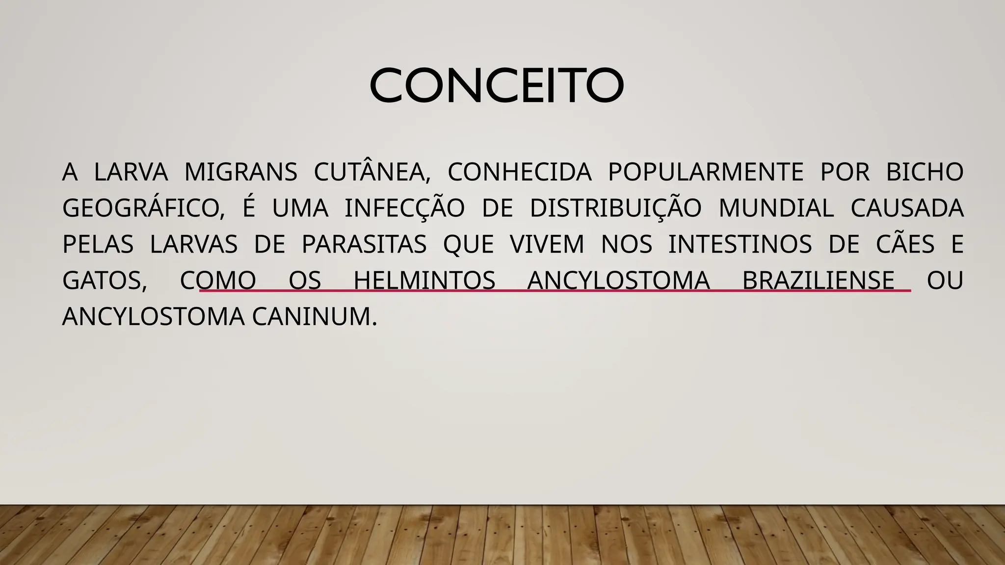 A larva migrans cutânea, conhecida popularmente por bicho geográfico | PPT