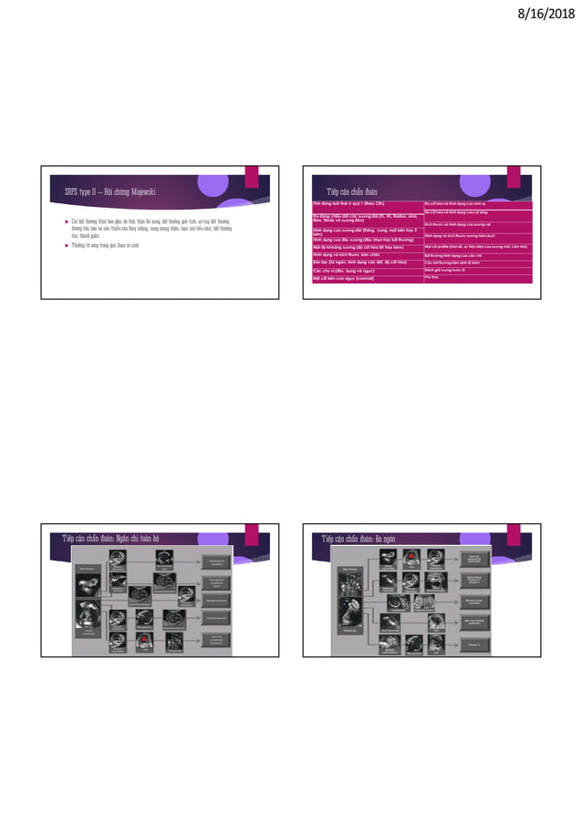 Case report: Short rib polydactyly syndrome type II - Majewski syndrome ...