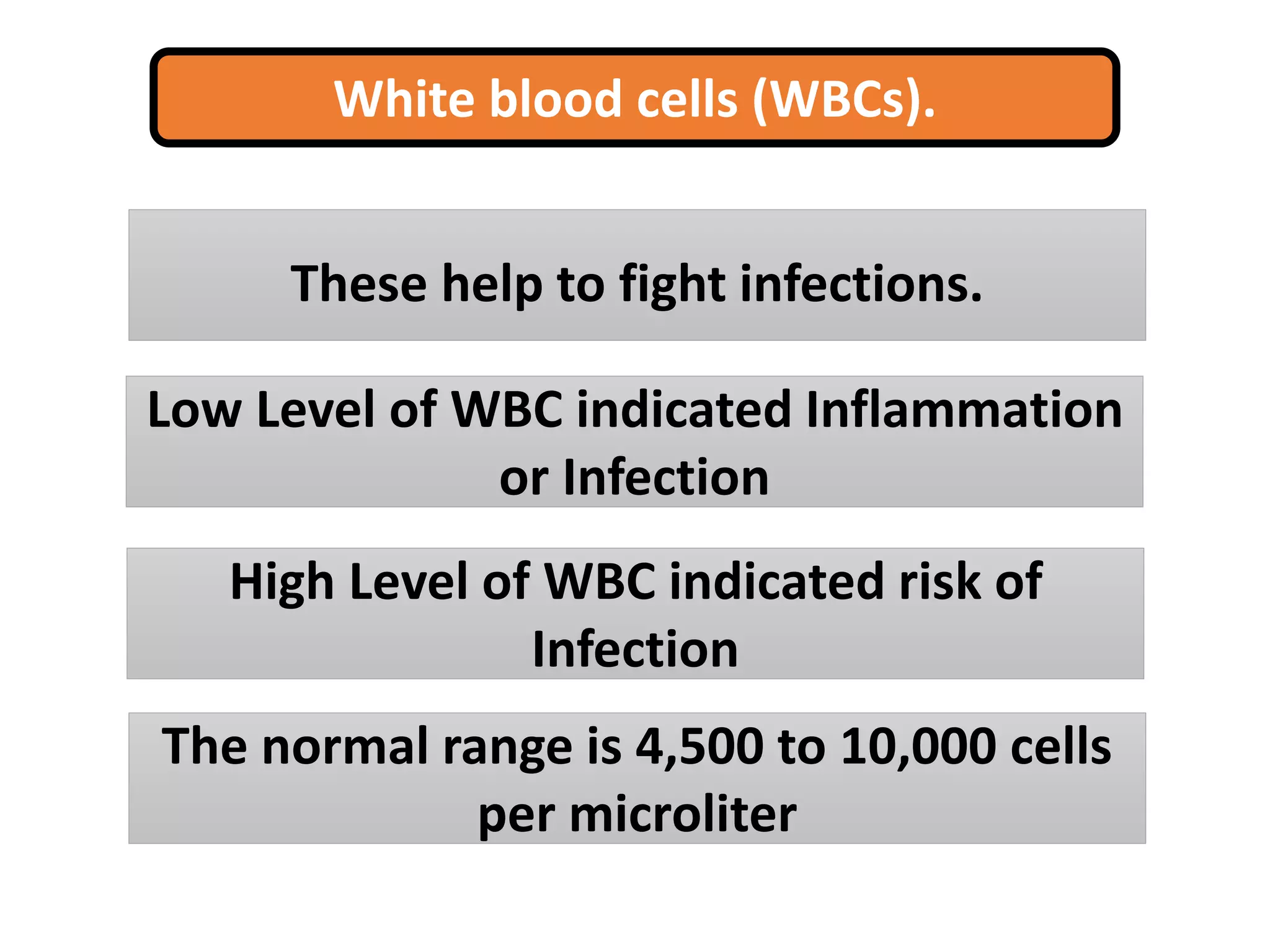 Complete Blood Count Test - Interpretation of Results | PPTX