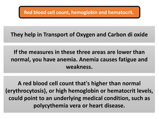 Complete Blood Count Test - Interpretation of Results | PPTX