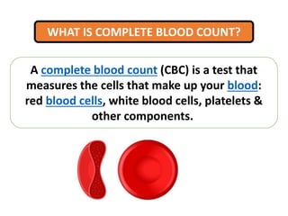 The Science Behind CBC Understanding Your Bloodwork, 56% OFF