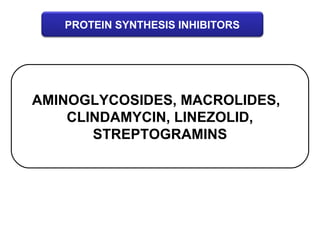 Anti-Biotics Classification - One Day One Drug | PPT