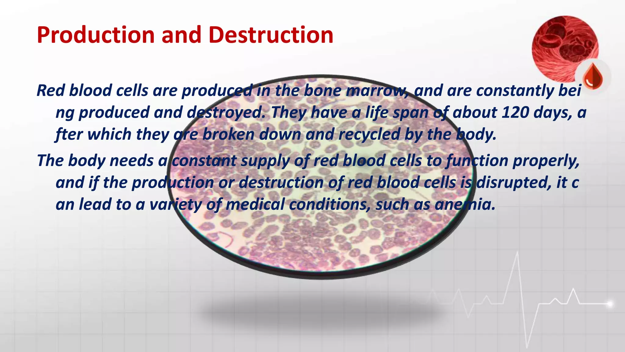 Red blood cells | PPT