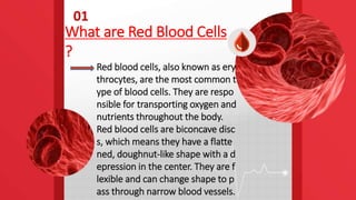Red blood cells | PPTX