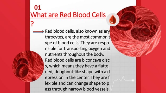 Red blood cells | PPTX