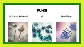 Jenis-jenis Mikroorganisma, kebaikan dan keburukan mikroorganisma | PPT