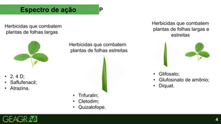 Mecanismos de ação de herbicidas | PPT