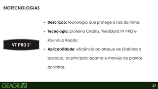 Melhoramento Genético e Biotecnologias do Milho. | PPTX