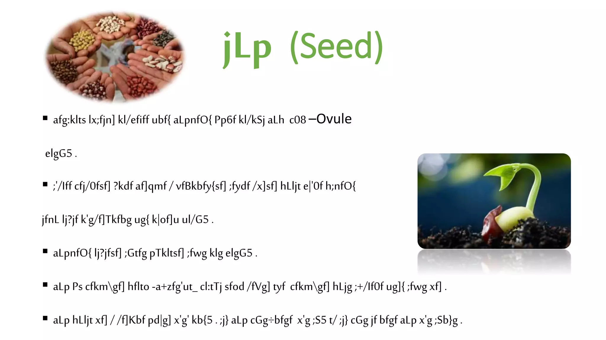 Slide of Local Seed Preservation method.pptx