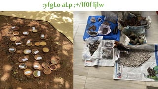 Slide of Local Seed Preservation method.pptx