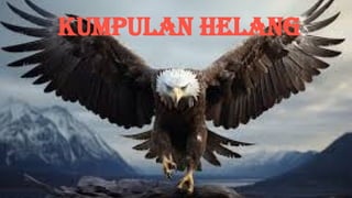 Slide Pembentangan kumpulan helang..pptx