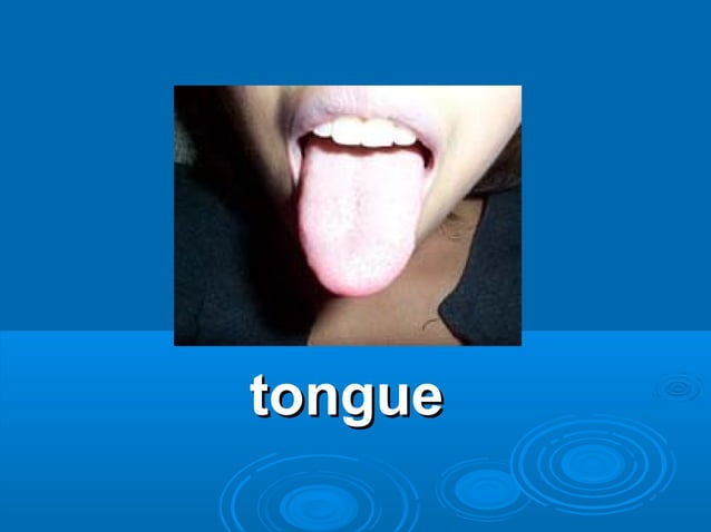 Slide persembahan | PPT