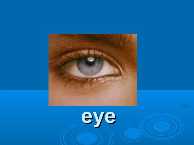 Slide persembahan | PPT