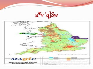 Slide (physical map) | PPTX