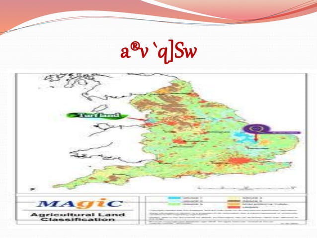 Slide (physical map) | PPTX
