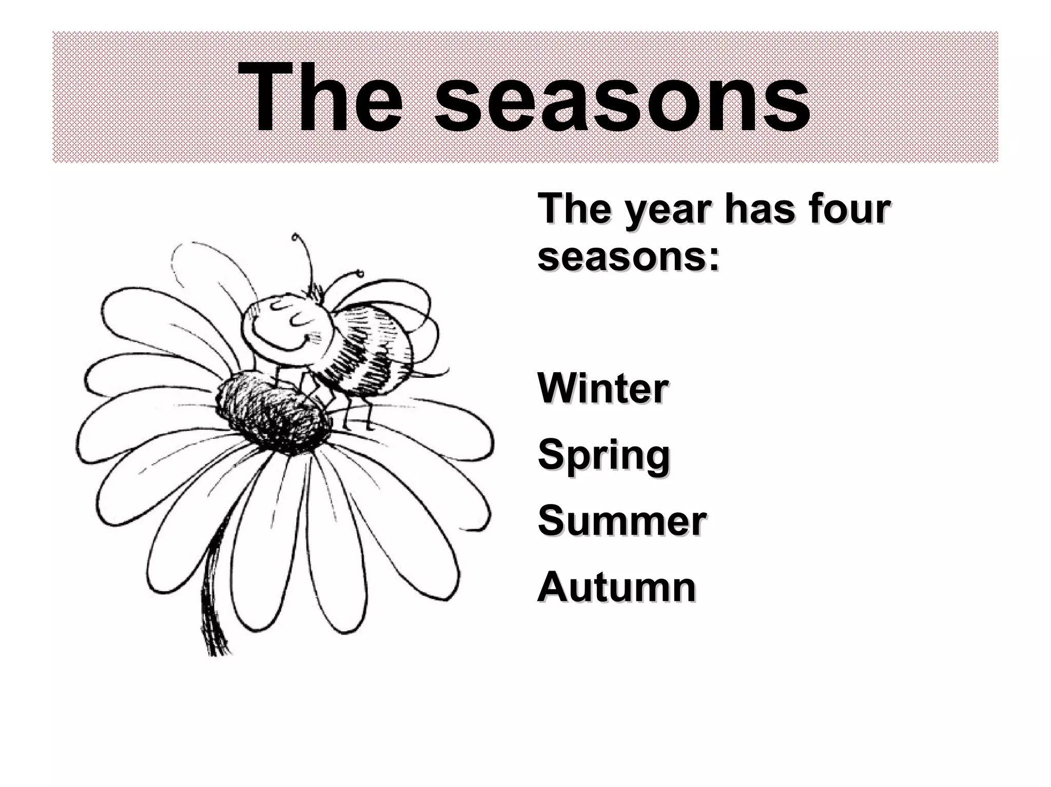 The four seasons | PPT