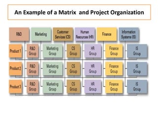 organizational structure and design in principle of management (chapter ...