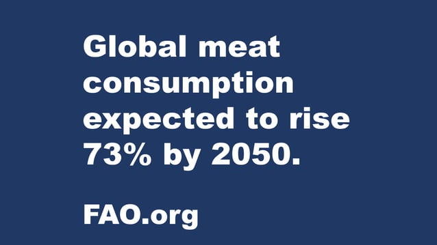 Visual Argument Slides | PPT