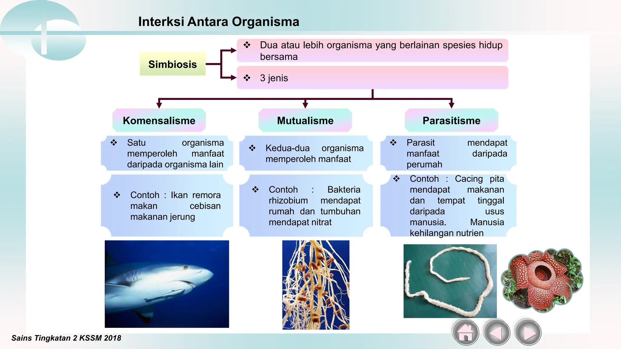 slide presentation bab 2 sain form 2.pdf