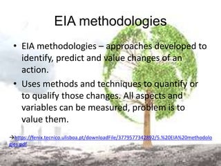 Environmental Audit and Environmental Impact Assessment | PPTX
