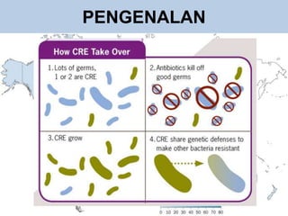 Carbapenem Resistant Enterobacteriaceae | PPTX