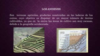 TECNOLOGIA AGRICOLA INCA | PPTX
