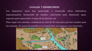 TECNOLOGIA AGRICOLA INCA | PPTX
