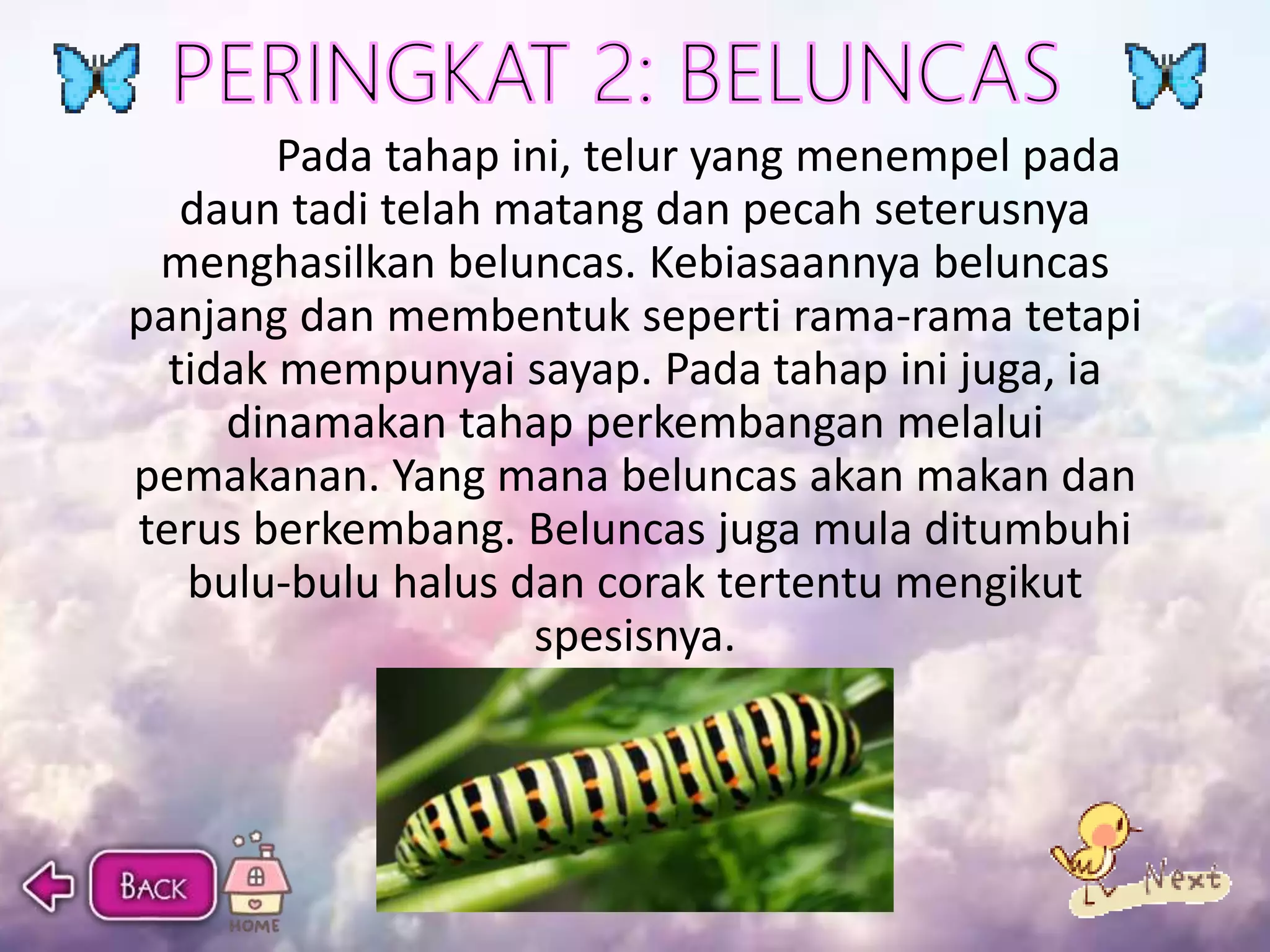 Kitaran Hidup Rama-Rama | PPTX