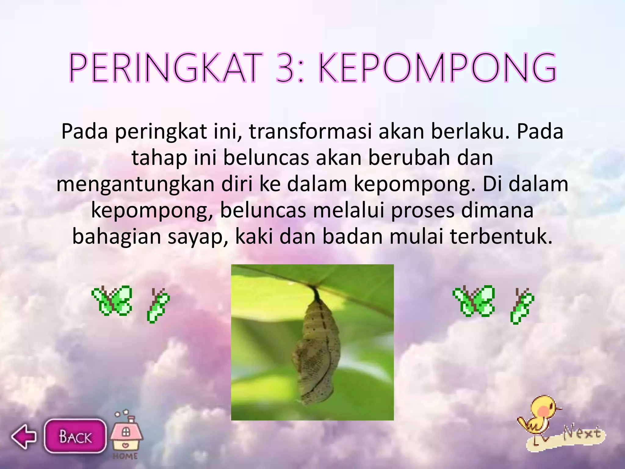 Kitaran Hidup Rama-Rama | PPTX